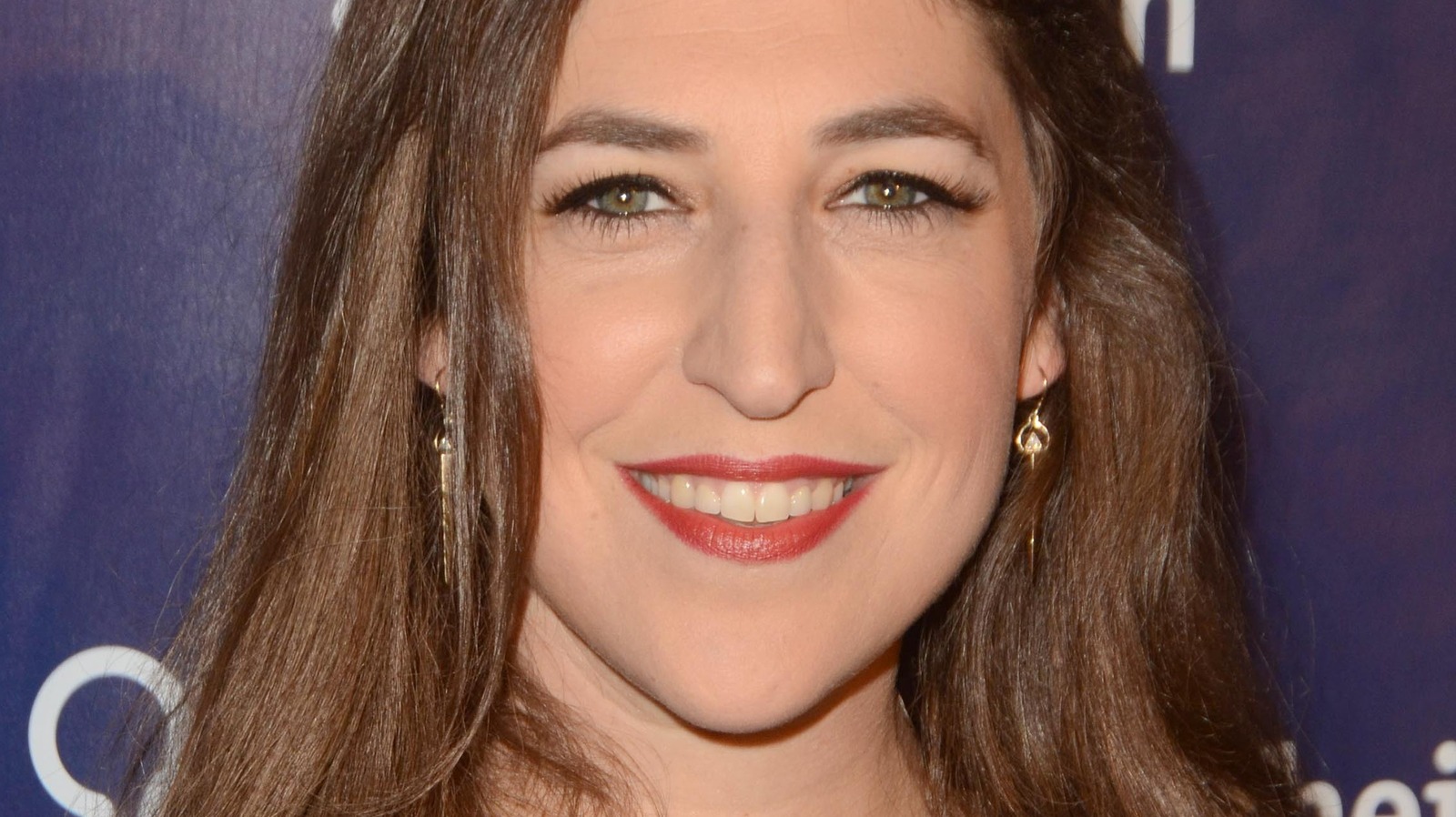 How Mayim Bialik's Health Insurance Needs Led To Big Bang Theory Stardom I Hate Insurance Companies